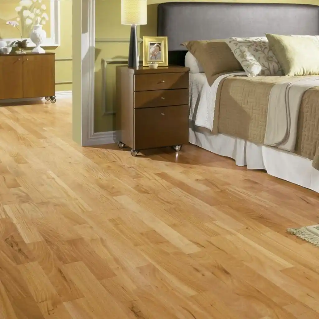 Sol humide que faire ? - Mytraitement